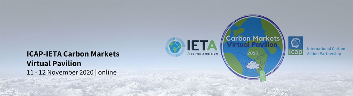 International Carbon Reduction and Offset Alliance (ICROA) - Panel ...